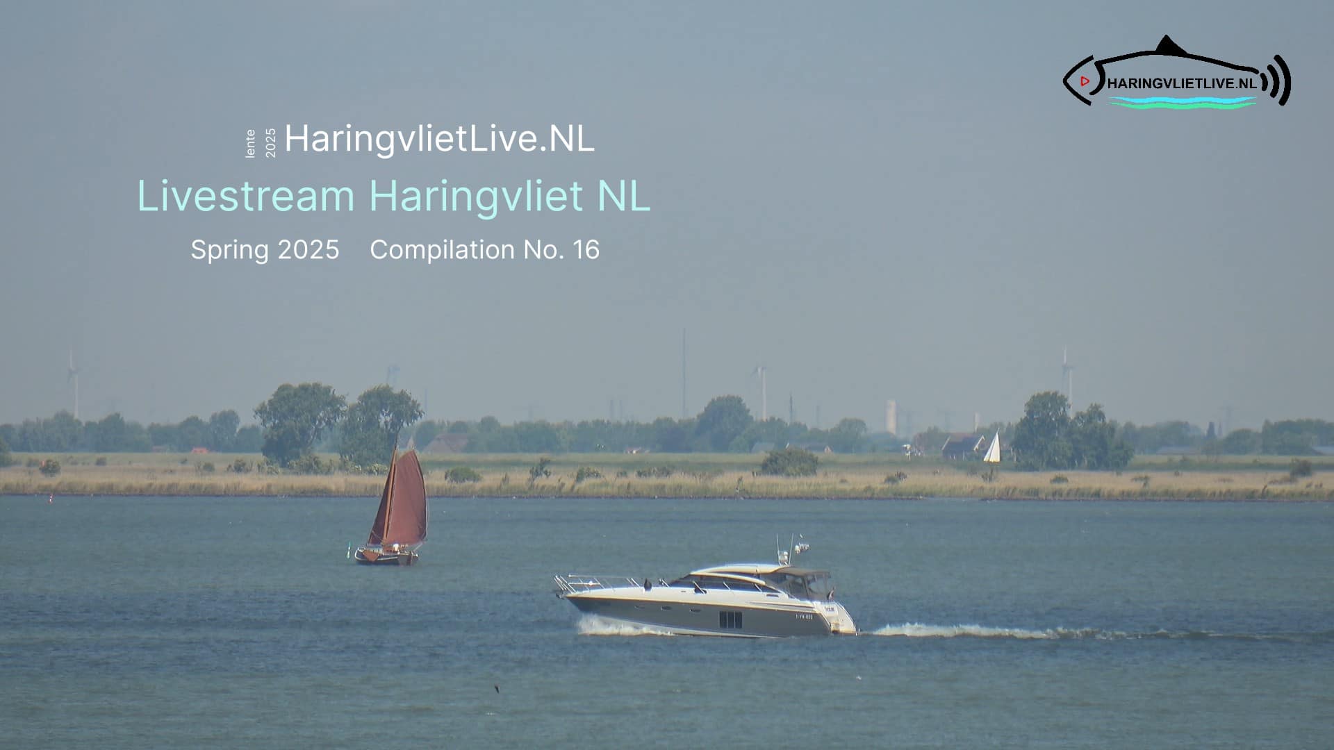 Livestream Haringvliet NL - Livestream Haringvliet NL